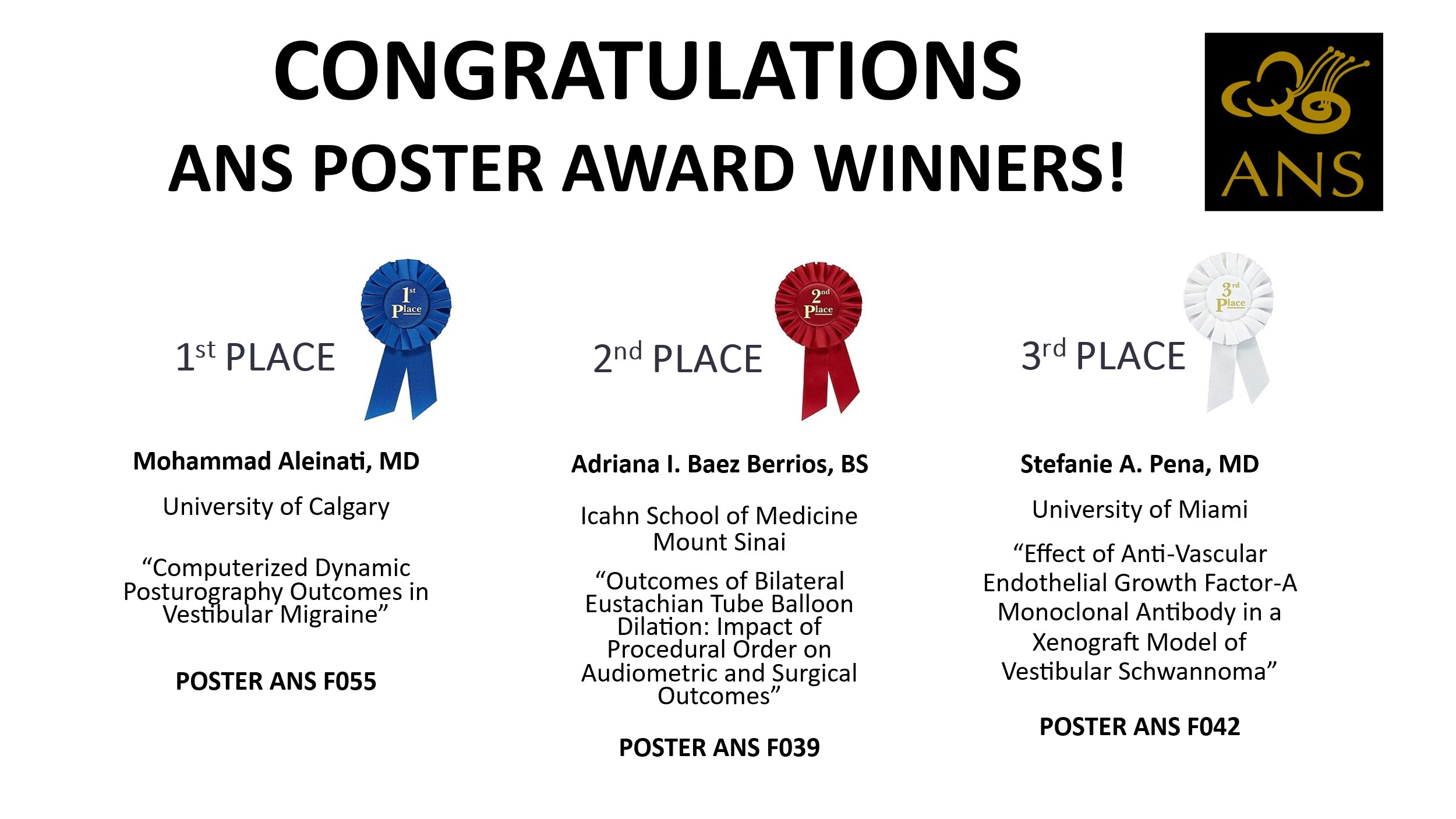 ANS Spring meeting 2025-NEW ORLEANS